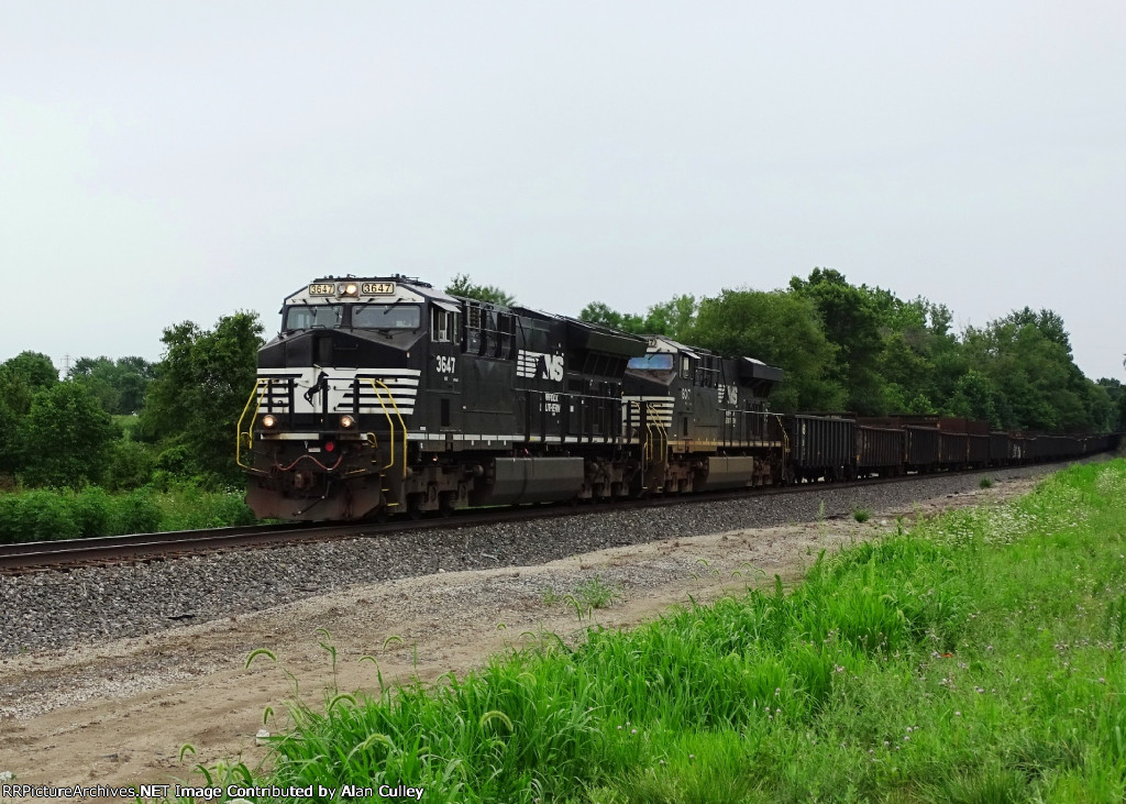 NS 3647-61C